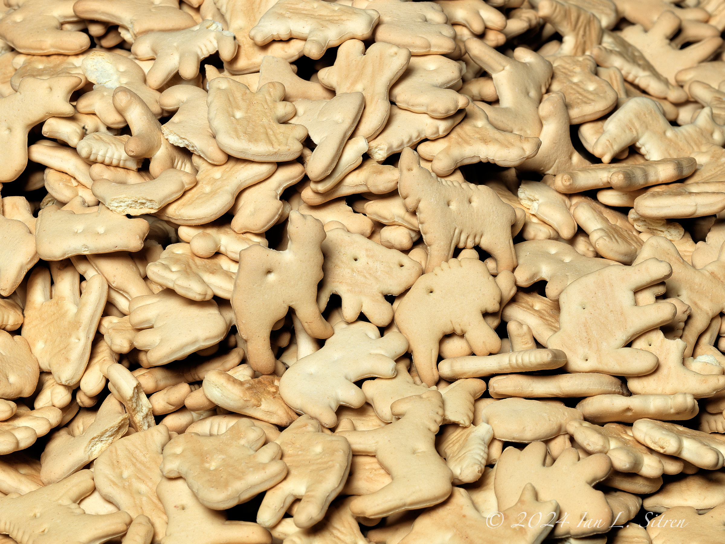 Animal Crackers | SecondFocus Blog